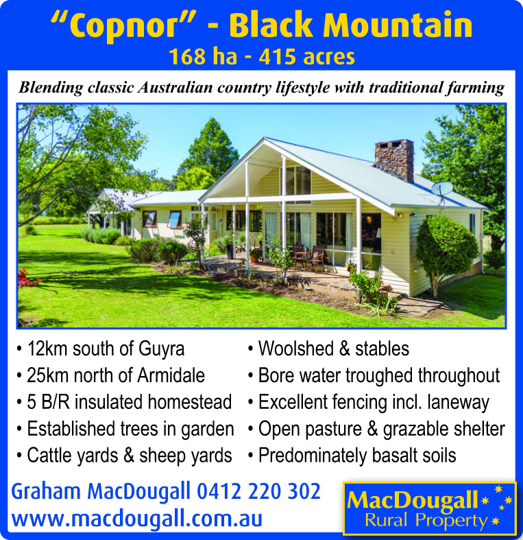 Sun shines on Show - Guyra Gazette