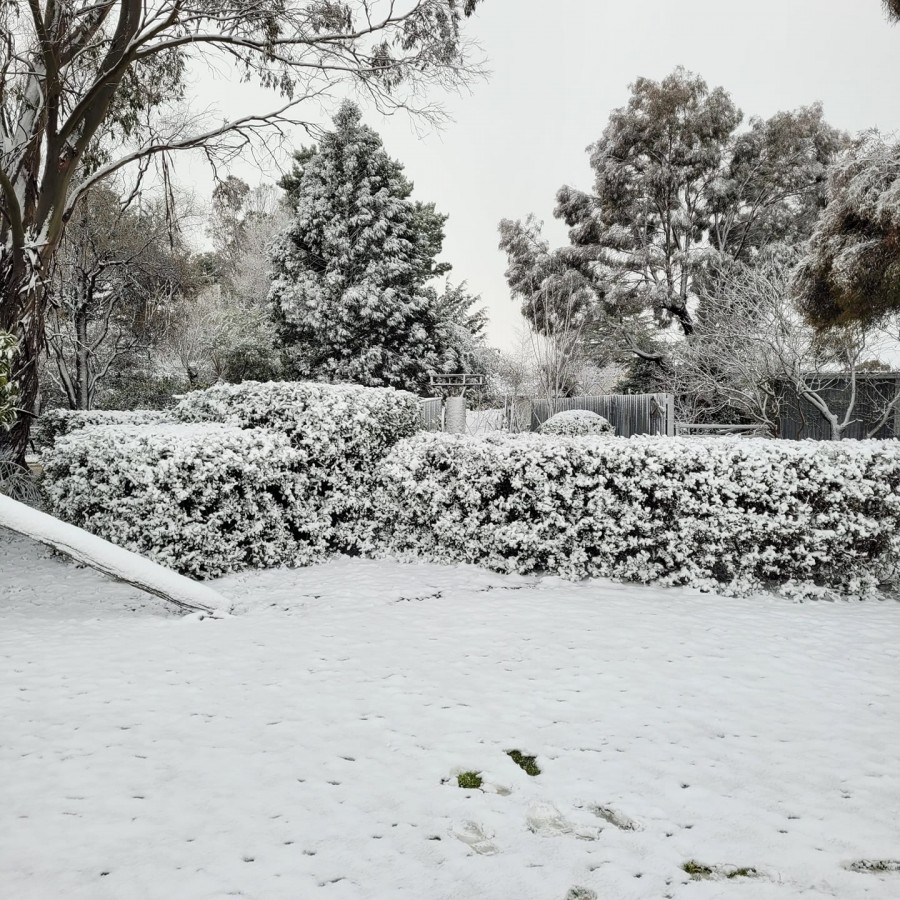 Late winter brings first snow - Guyra Gazette
