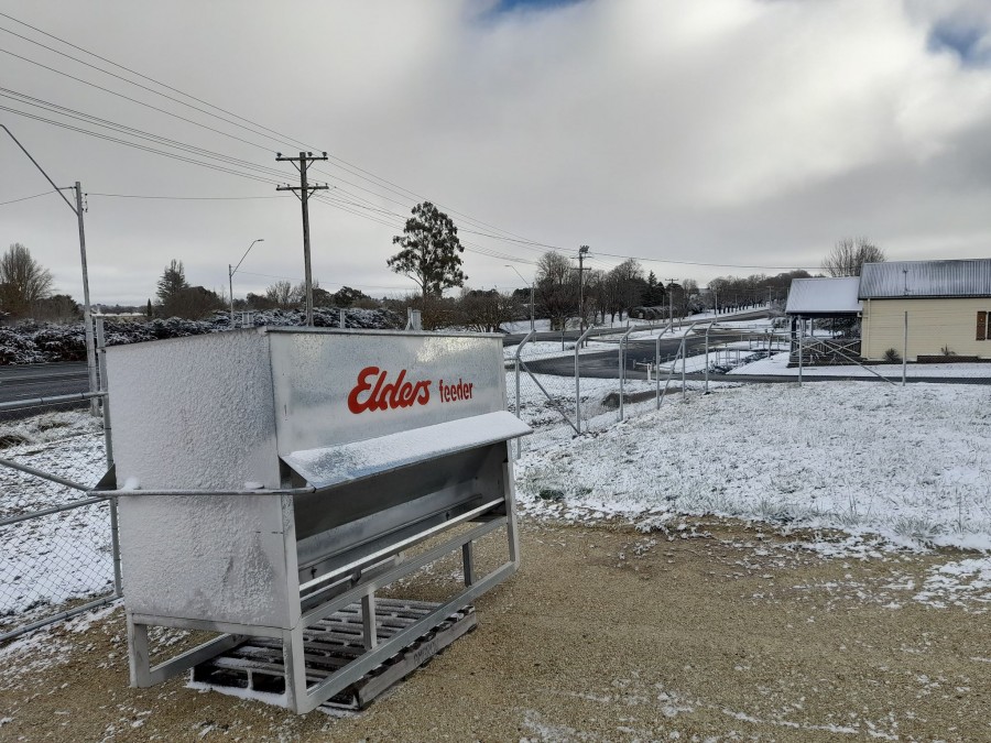 Late winter brings first snow - Guyra Gazette
