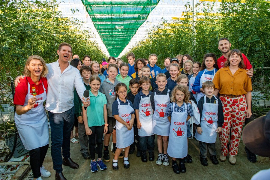 Sunrise comes to Costa’s tomato glasshouses - Guyra Gazette